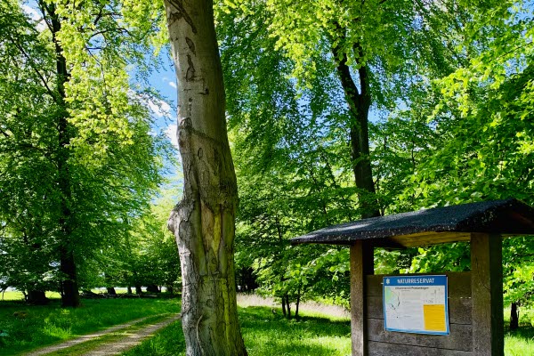 Turism - Svedala kommun - Svedala kommun