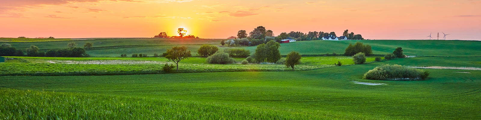 Svedala kommuns officiella webbplats - Svedala kommun